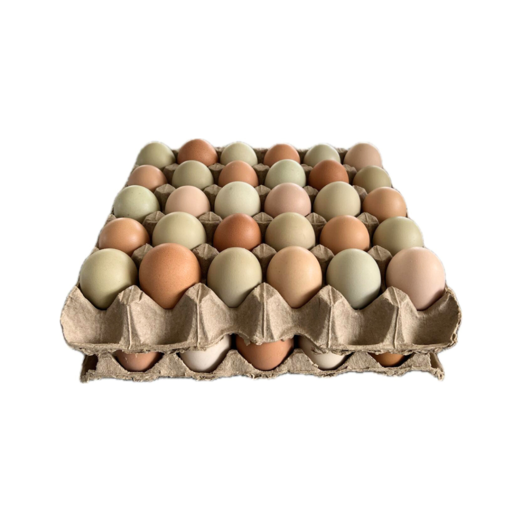 Huevos Orgánicos x 60 Unid. (3.4kg-4kg) – La EcoVilla